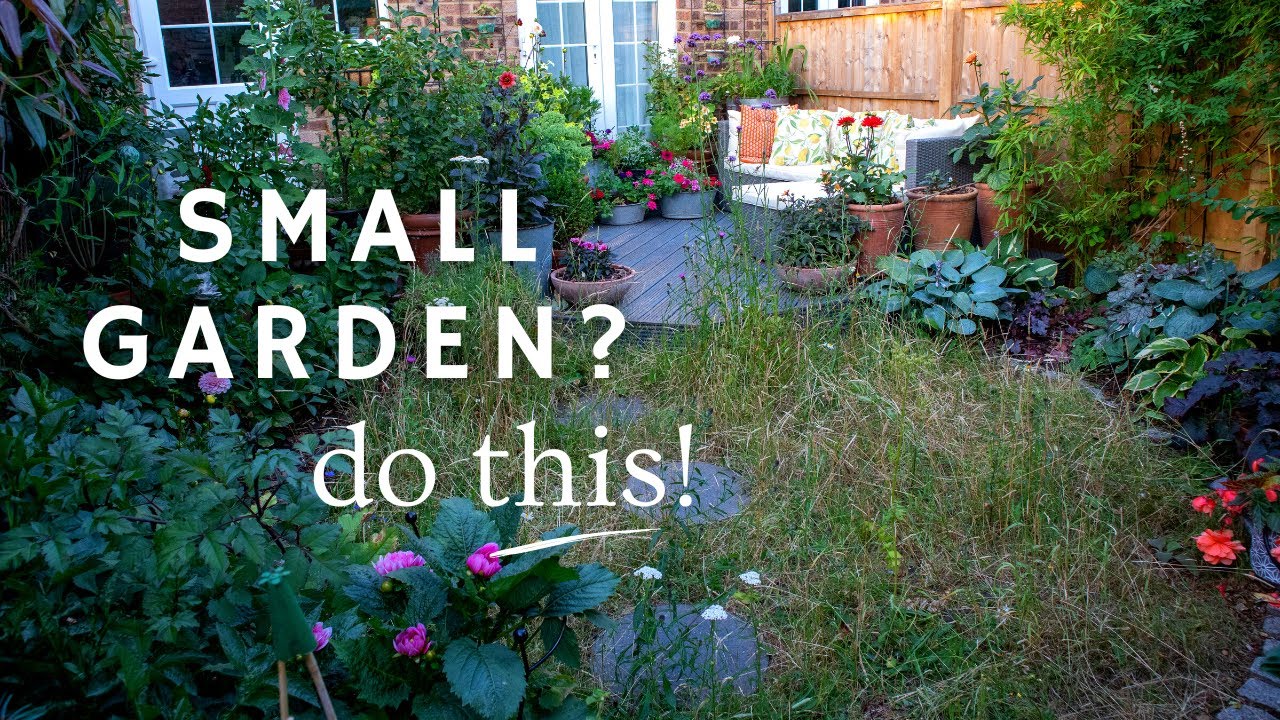 9 Tips to Thrive in a Small Rented Garden (5 is a must do!) 🏡🫶 - YouTube