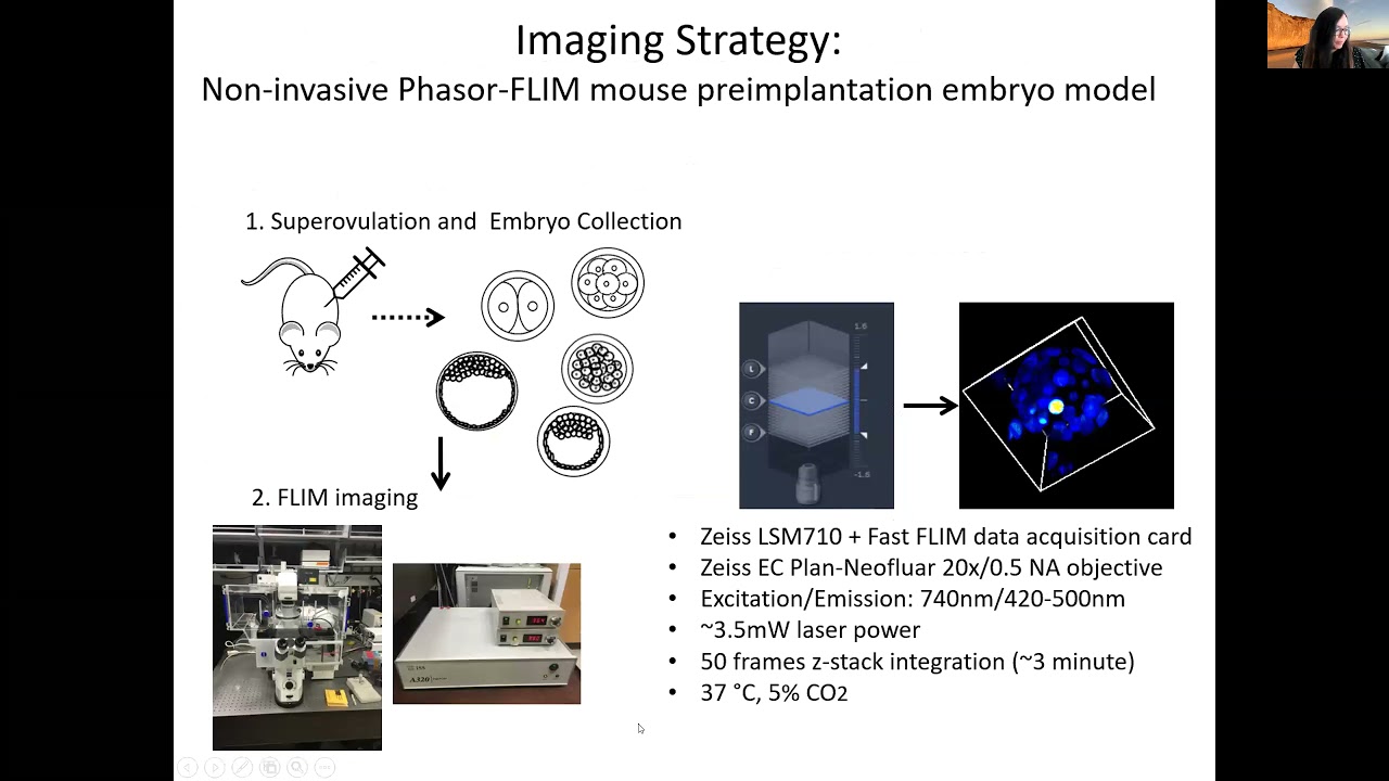 Application talk #18 Michelle Digman Evaluation of pre implantation ...