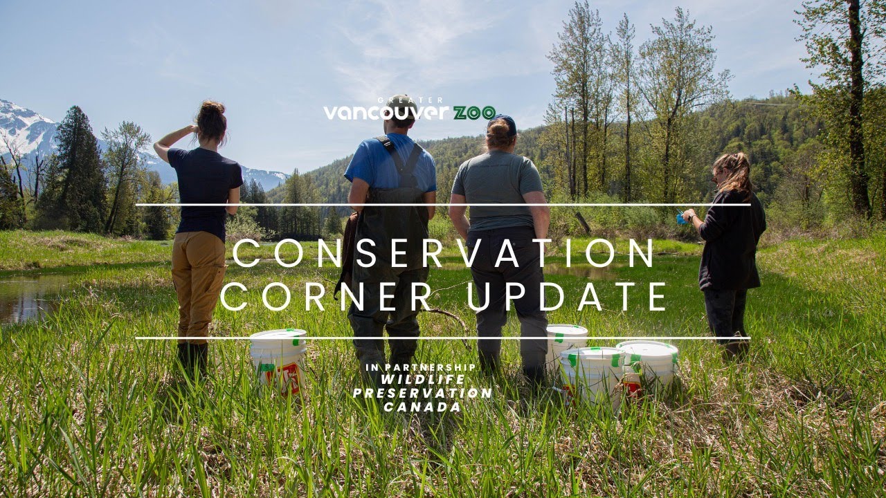 Conservation Corner - Episode 10 - YouTube