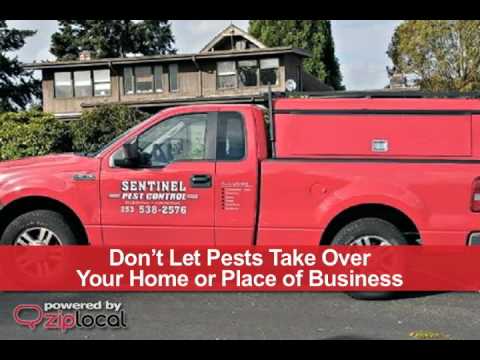 Sentinel Pest Control - (253)538-2576 - YouTube