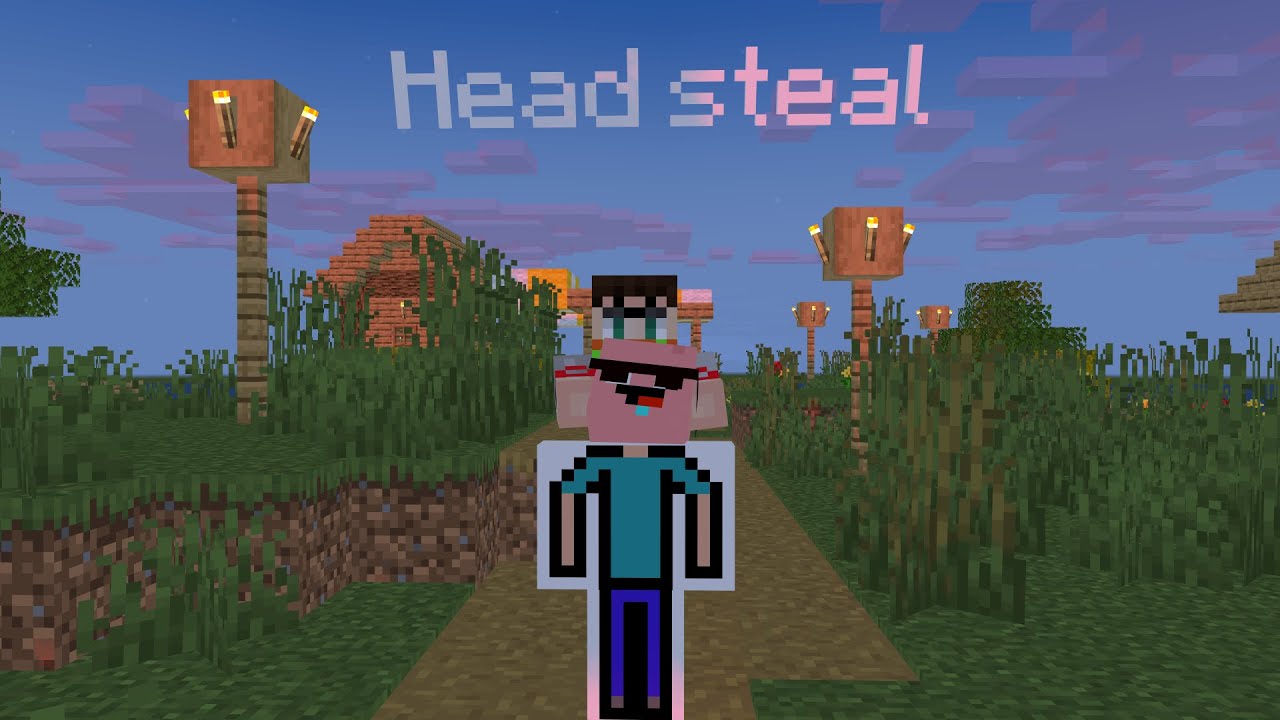 How to make headsteal smp @PSD1 @ThunderzLucky #headsteal #gaming # ...
