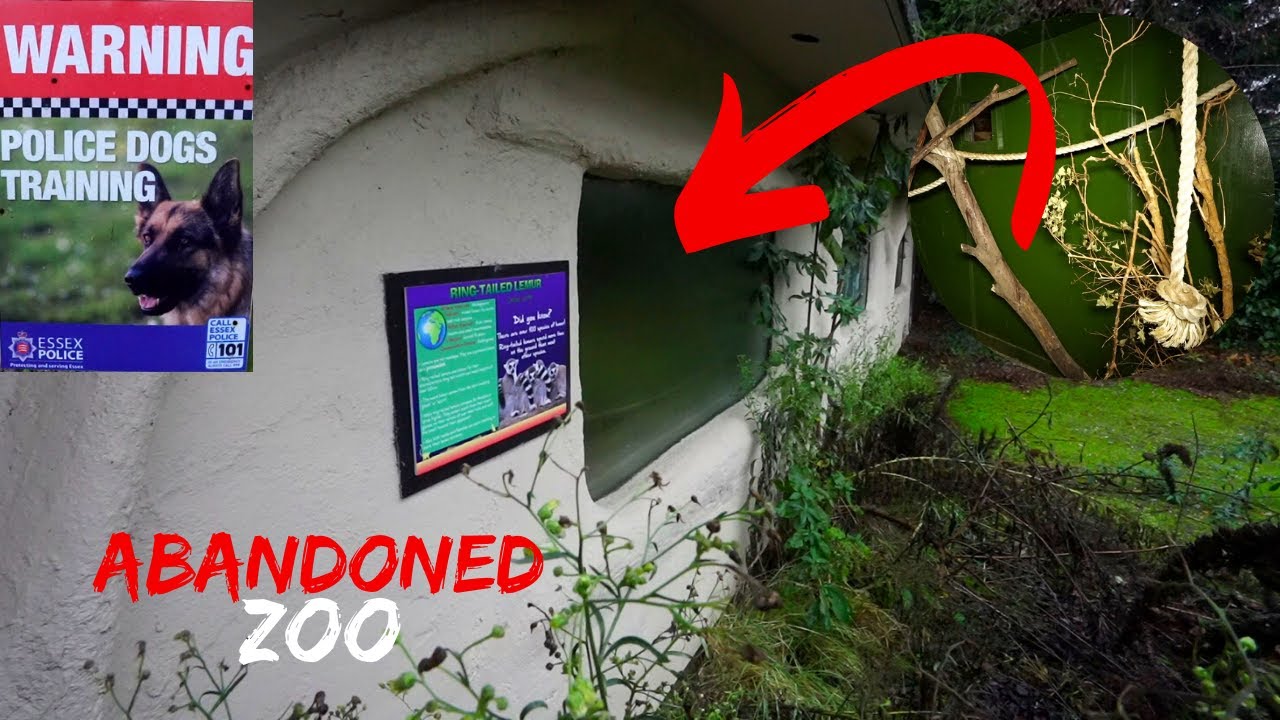 Exploring The ABANDONED ZOO in Essex Prison for Animals - YouTube