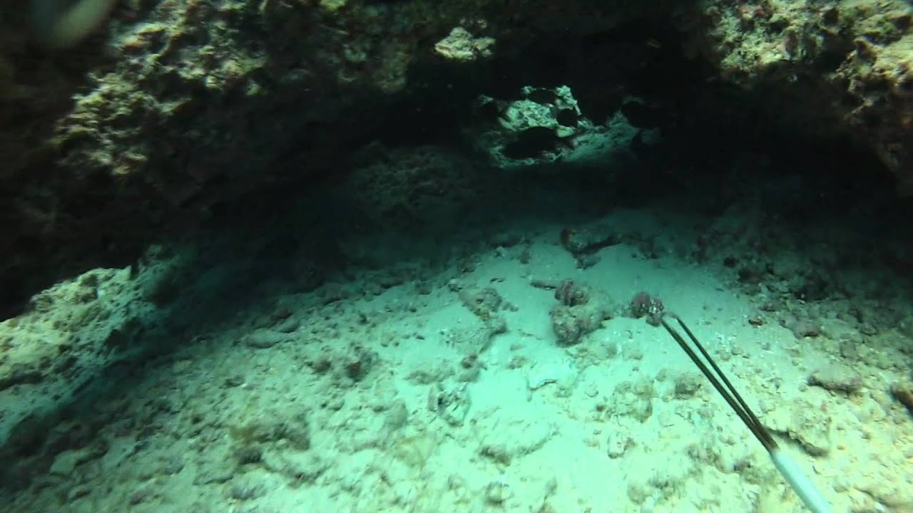 Menpachi 9/8/12 - YouTube
