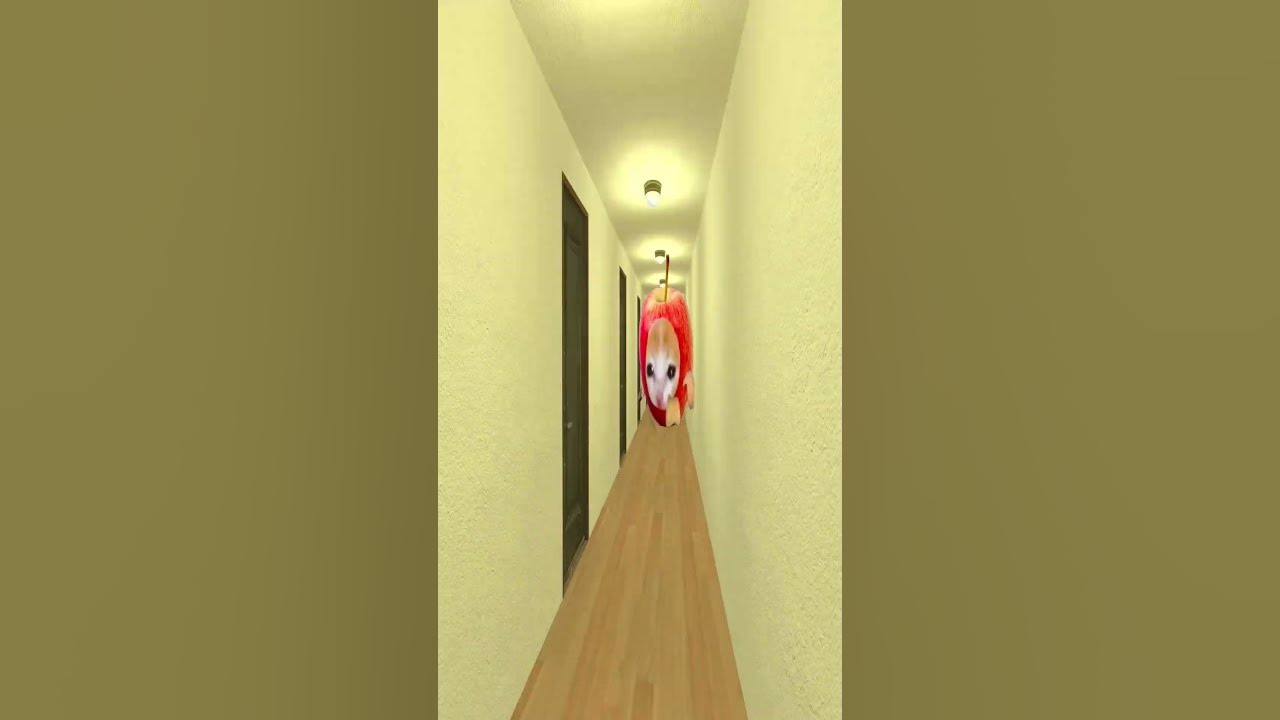 Fruit Hotel: Banana, Apple Cat, 144p Banana, Watermelon ( Nextbot Gmod ) - YouTube