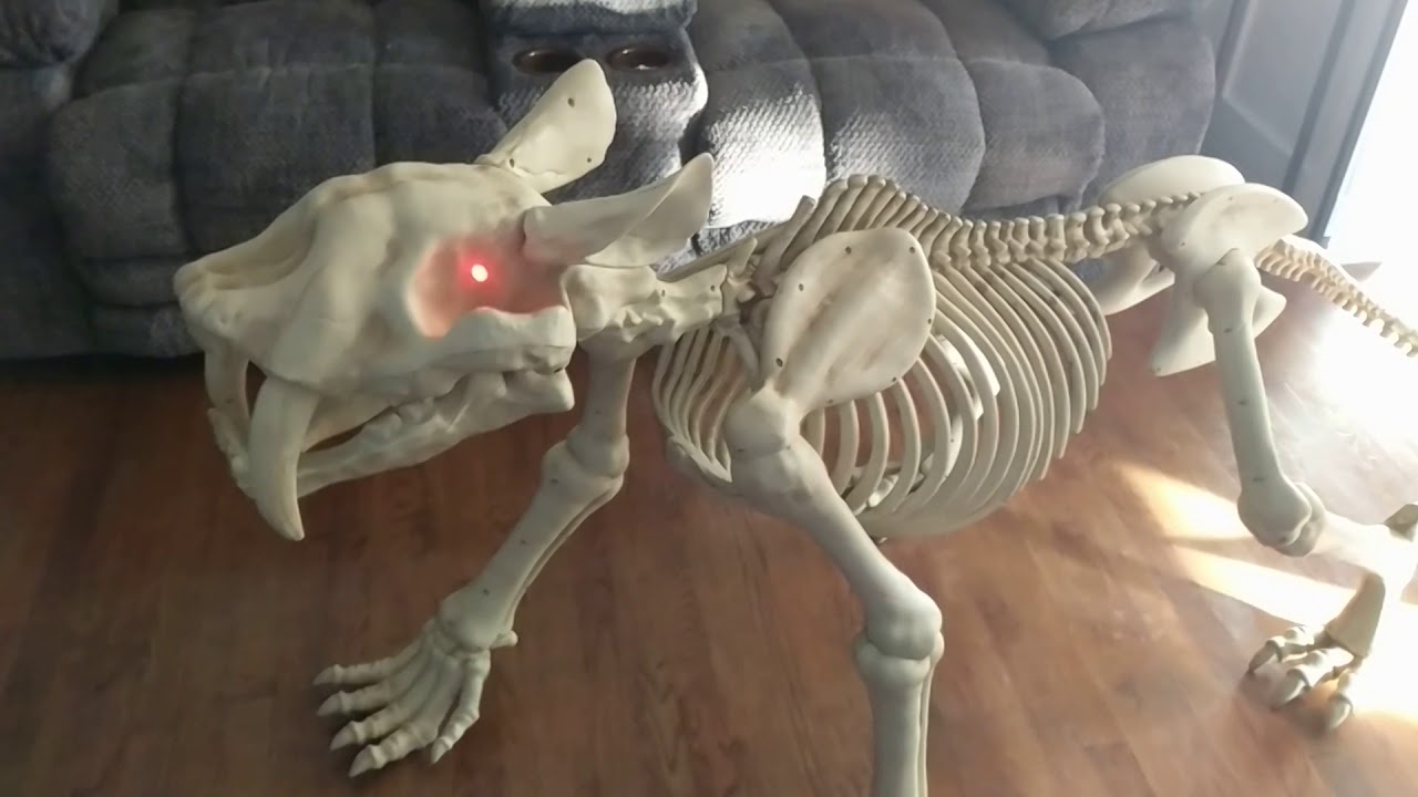 82 in. Animated Skeleton Sabretooth - YouTube