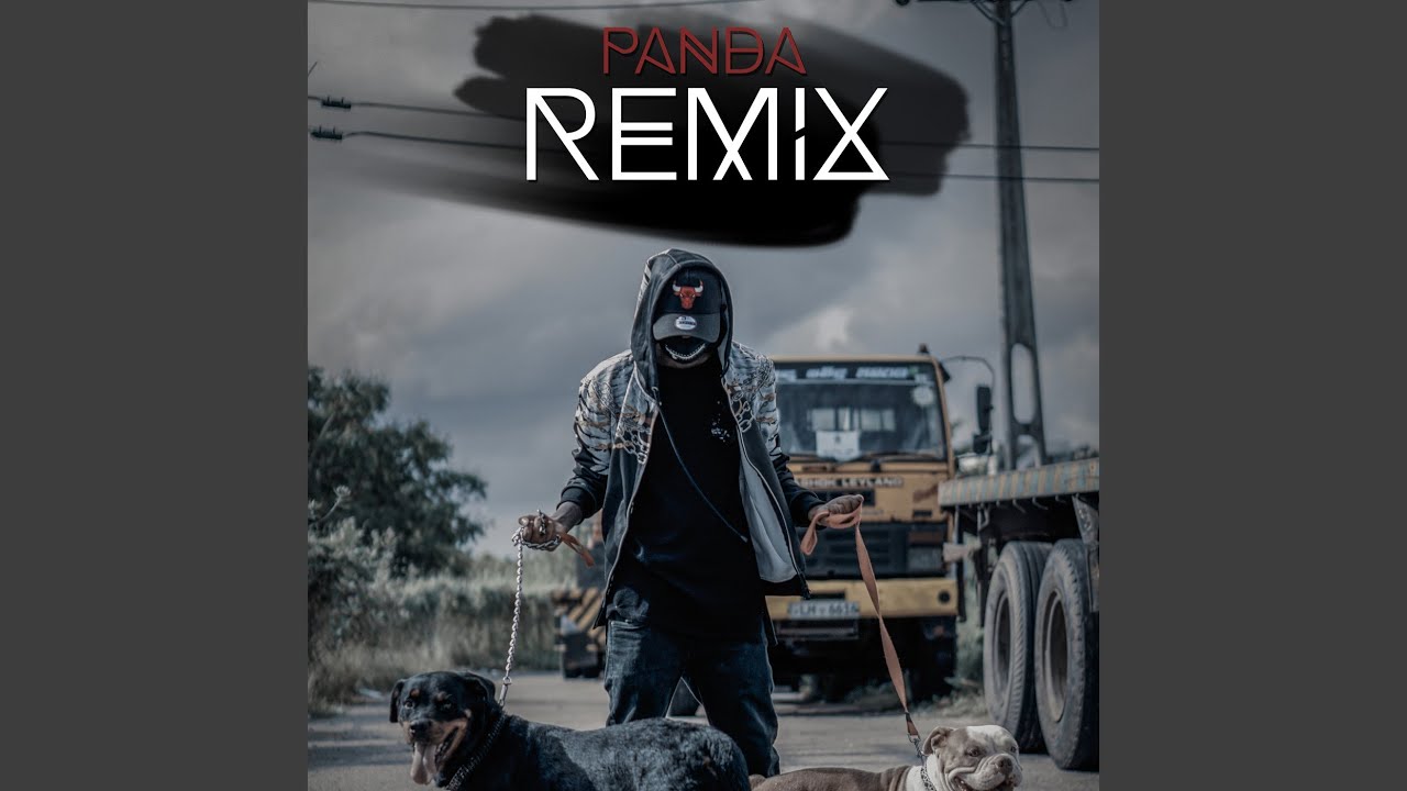 Panda (Remix) - YouTube Music