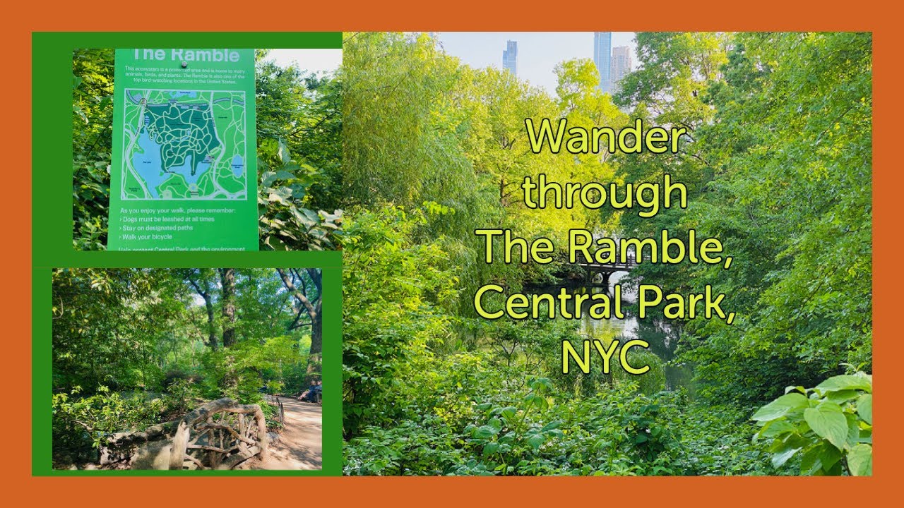 Wander through The Ramble, Central Park New York - YouTube