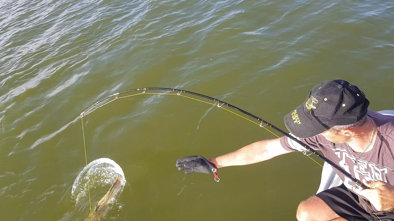 Somn la clonc 10 kg - YouTube