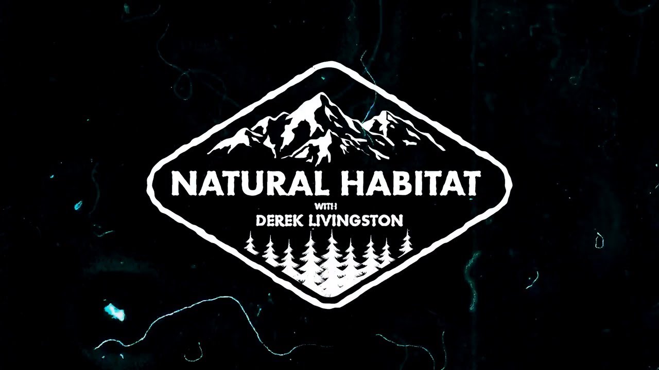 Derek Livingston | Natural Habitat - YouTube
