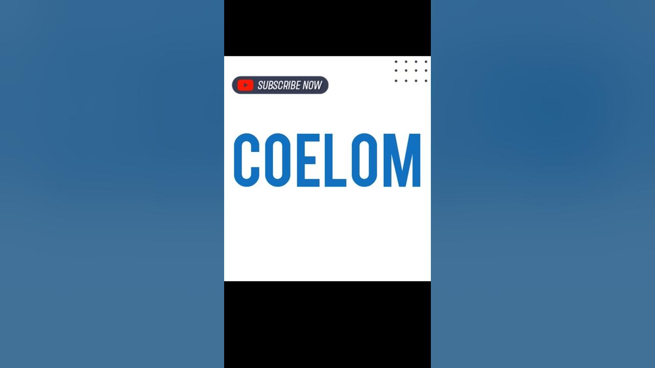 COELOM - YouTube