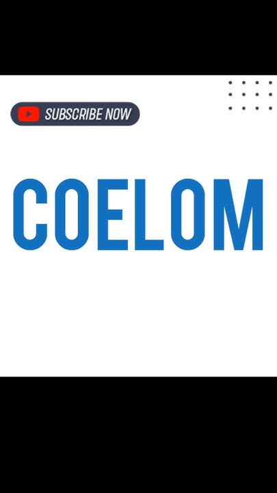 COELOM - YouTube