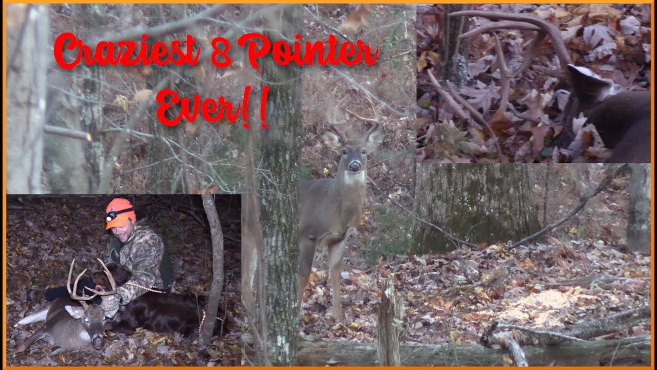 8 Pointer Muzzleloader Buck w/ Tons of Extras Down in NC | Craziest ...