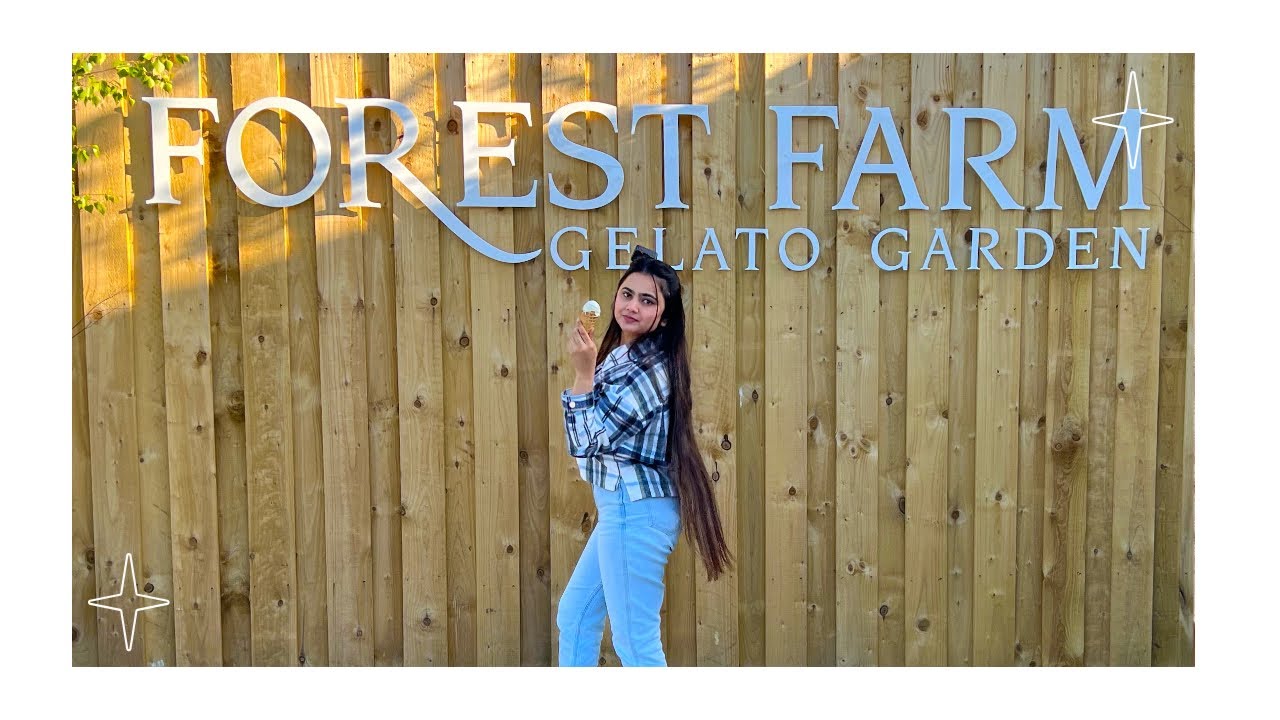 Forest Farm The Organic Dairy: Aberdeen's Hidden Gem of Organic ...