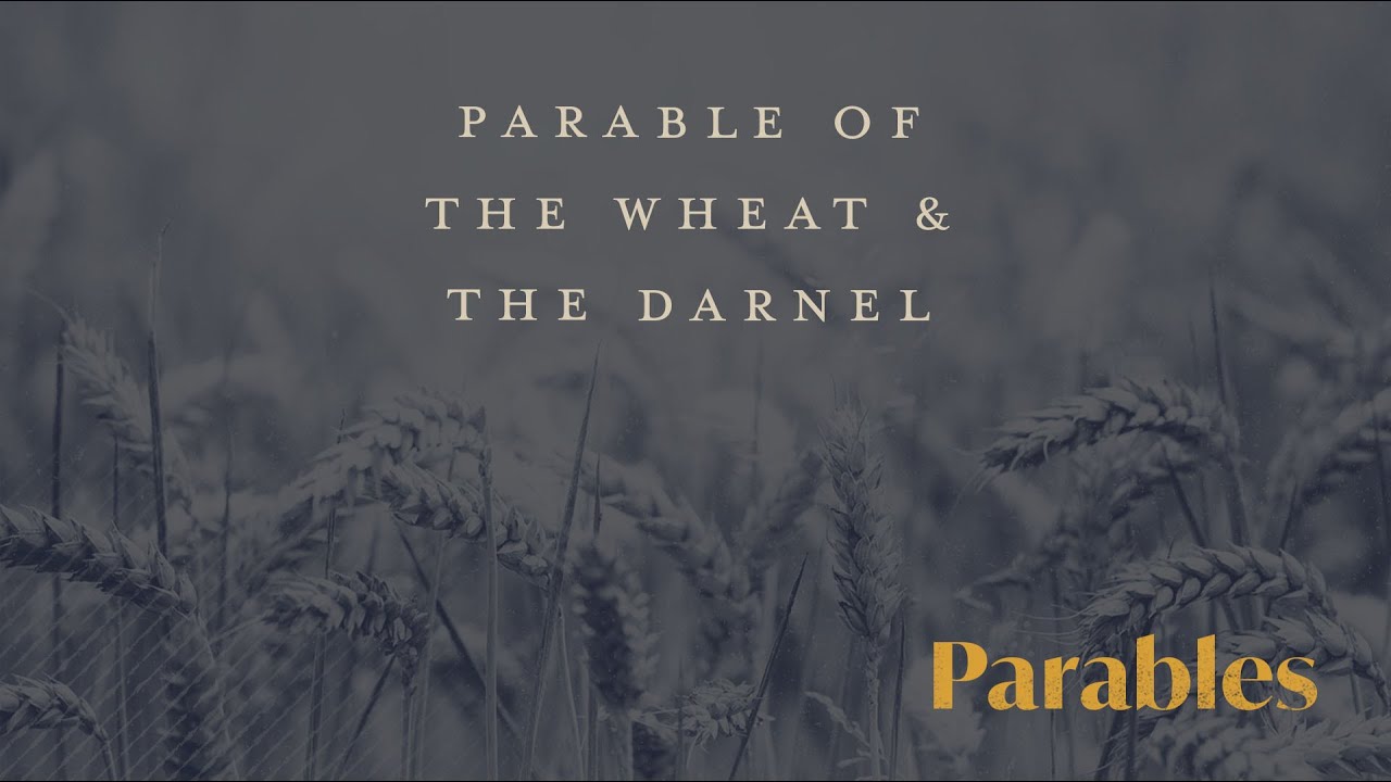 Parable of The Wheat & The Darnel | Parables Series | August 3rd 2022 ...