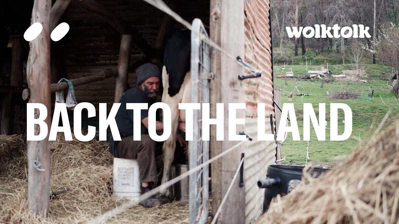 Back to the Land - YouTube