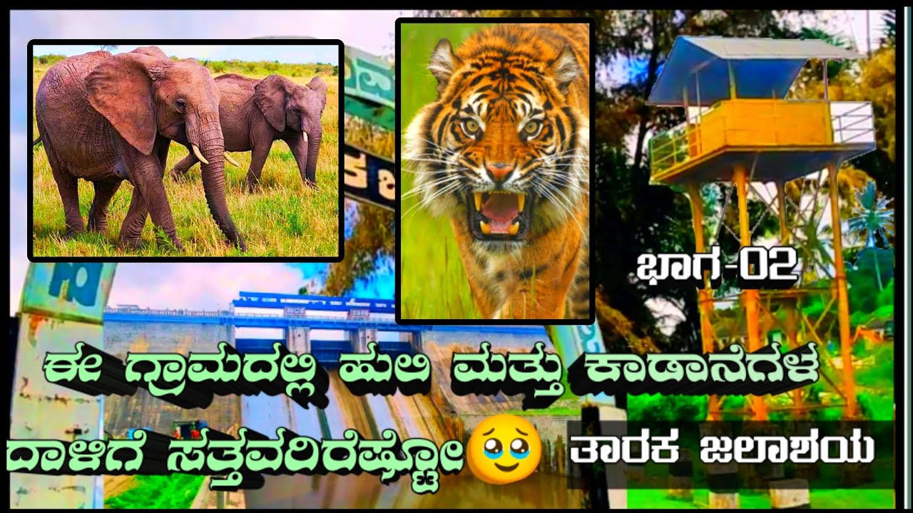 TARAKA Dam-Part2 | ತಾರಕ ಜಲಾಶಯ| TARAKA reservoir| karnataka dams |mysore ...