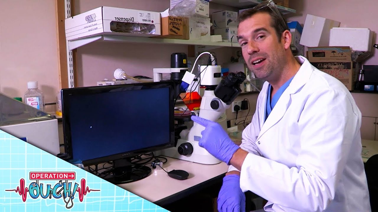 Science for Kids - Hospital Stories | Learn About Human Body ...