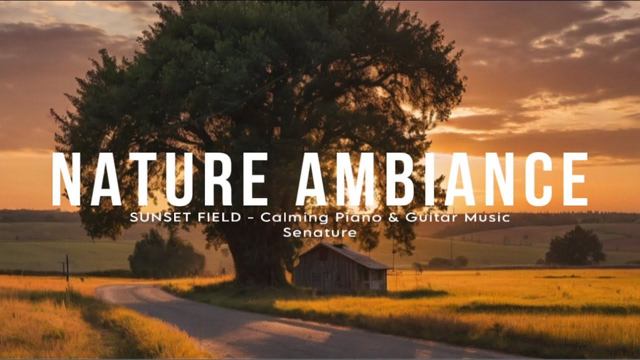 Nature Ambience • Sunset Field🌾🌅- Calming Piano & guitar music by ...