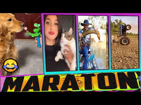 HUMOR VIDEOS VIRALES TODOS 2022 🚨🔥👍👍👍👍👍👍