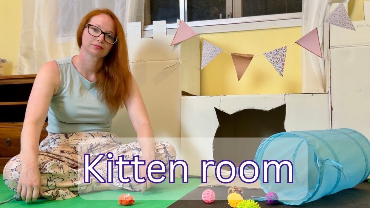 Decorating a foster kitten room on a budget - SUPER CUTE 🥰 - YouTube