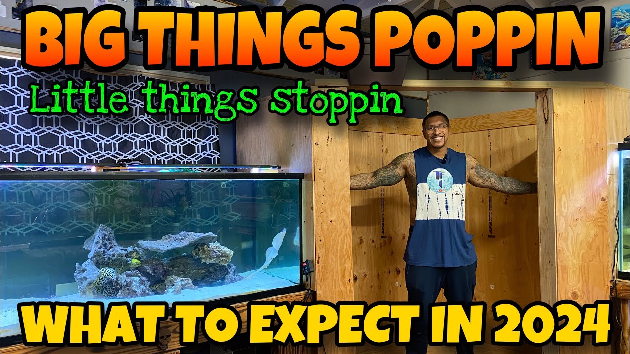 BIG THINGS POPPIN, little things stoppin * WHAT TO EXPECT IN 2024 ...