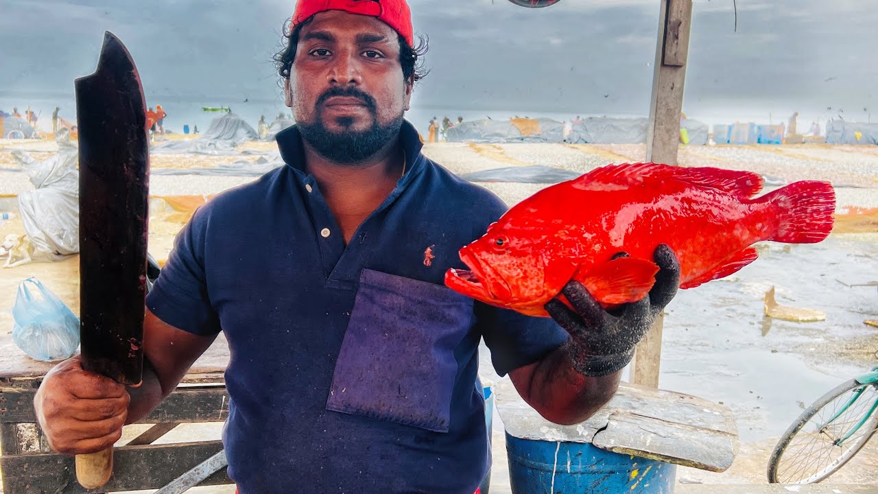 Red Grouper Fish Cutting | Tuna Fish Cutting | Yellowfin Trevally Fish ...