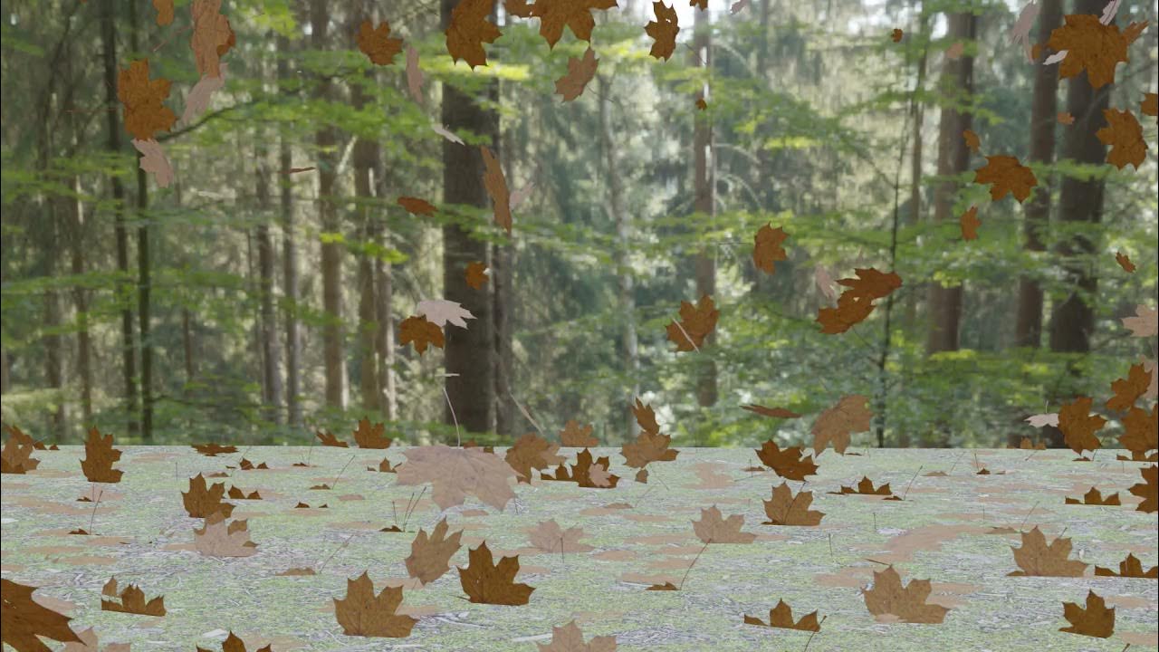 Blender 3.0 : Animate leaves blowing in the wind. 风吹落叶动态 - YouTube