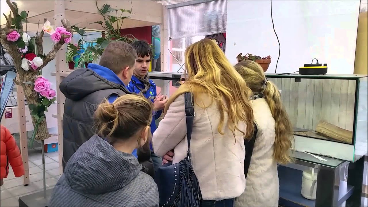 Opendag 16 jan 2016, RSG N.O.-Veluwe, Epe - YouTube