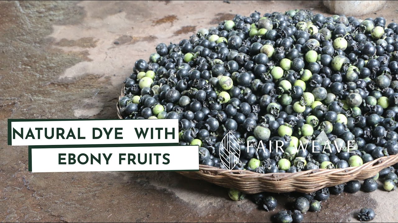 Natural Dye with Ebony fruits - by FAIRWEAVE - YouTube