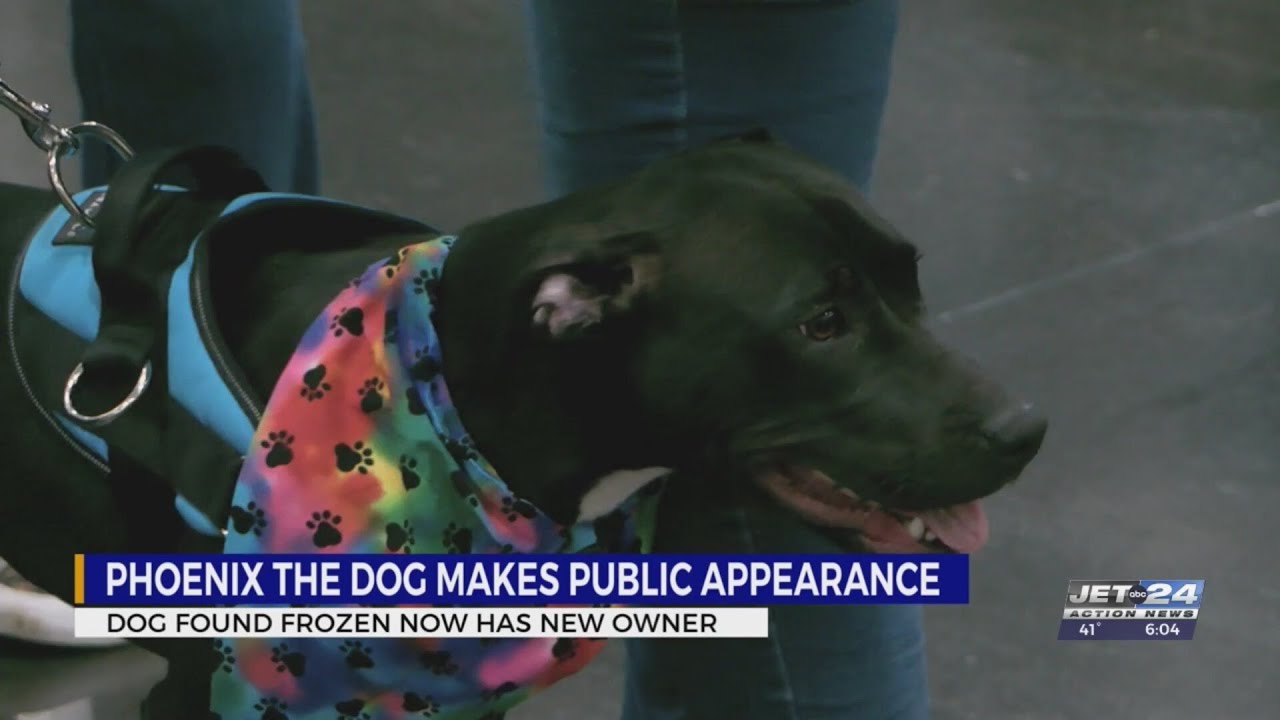 Phoenix makes first public appearance since recovery - YouTube