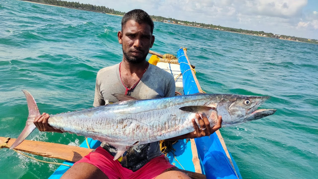 Monster King fish catching video in salt water - YouTube