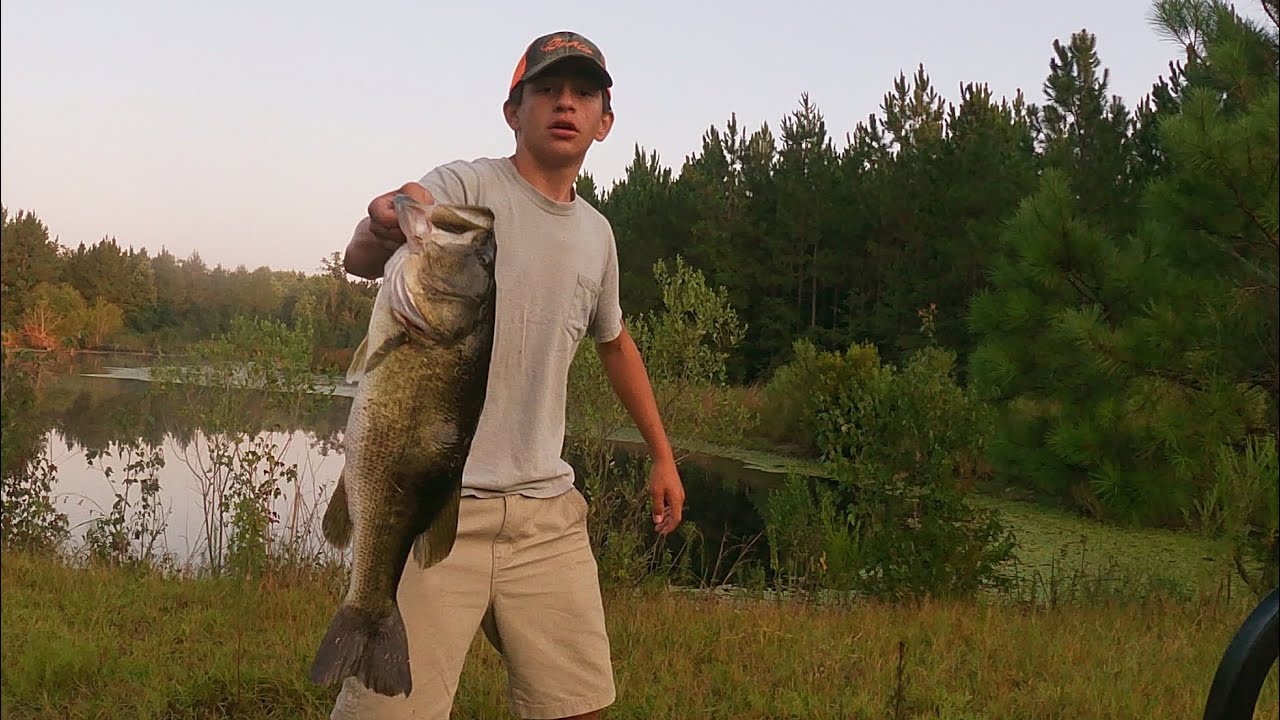 Absolute TOAD crushed my Frog!!! - YouTube