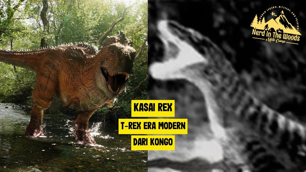 Mengenal Kasai Rex, Tyrannosaurus Rex Era Modern dari Kongo - YouTube