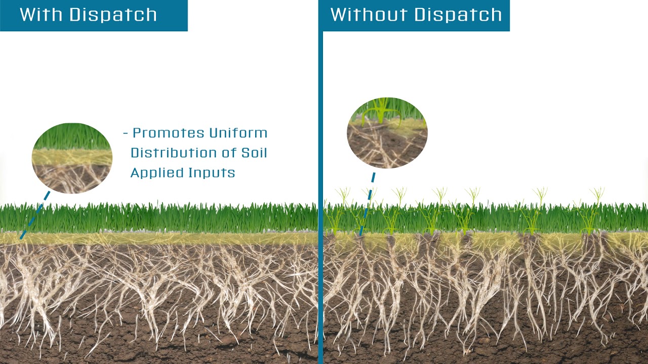 Get More Out of Your Pre-Emergent Application with Dispatch Sprayable ...