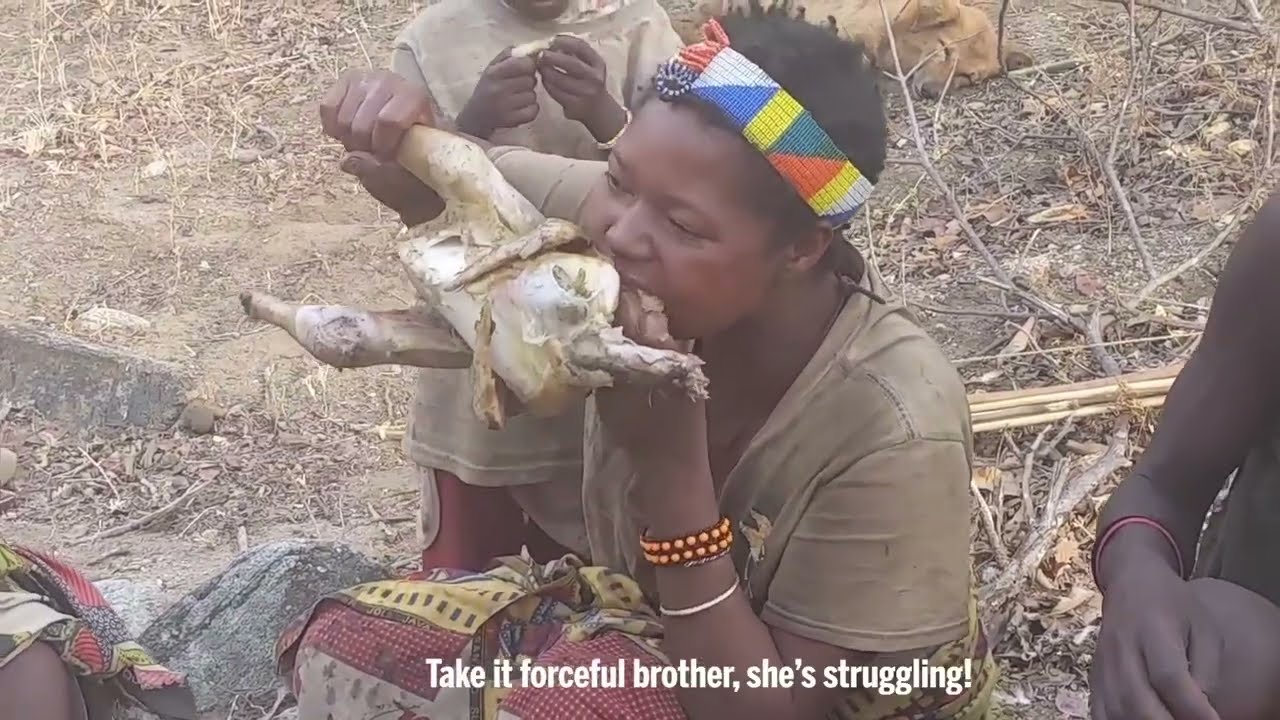 Africa Favourite Tribe Hadzabe Hunting and Eating Food In tHE FOrest ...