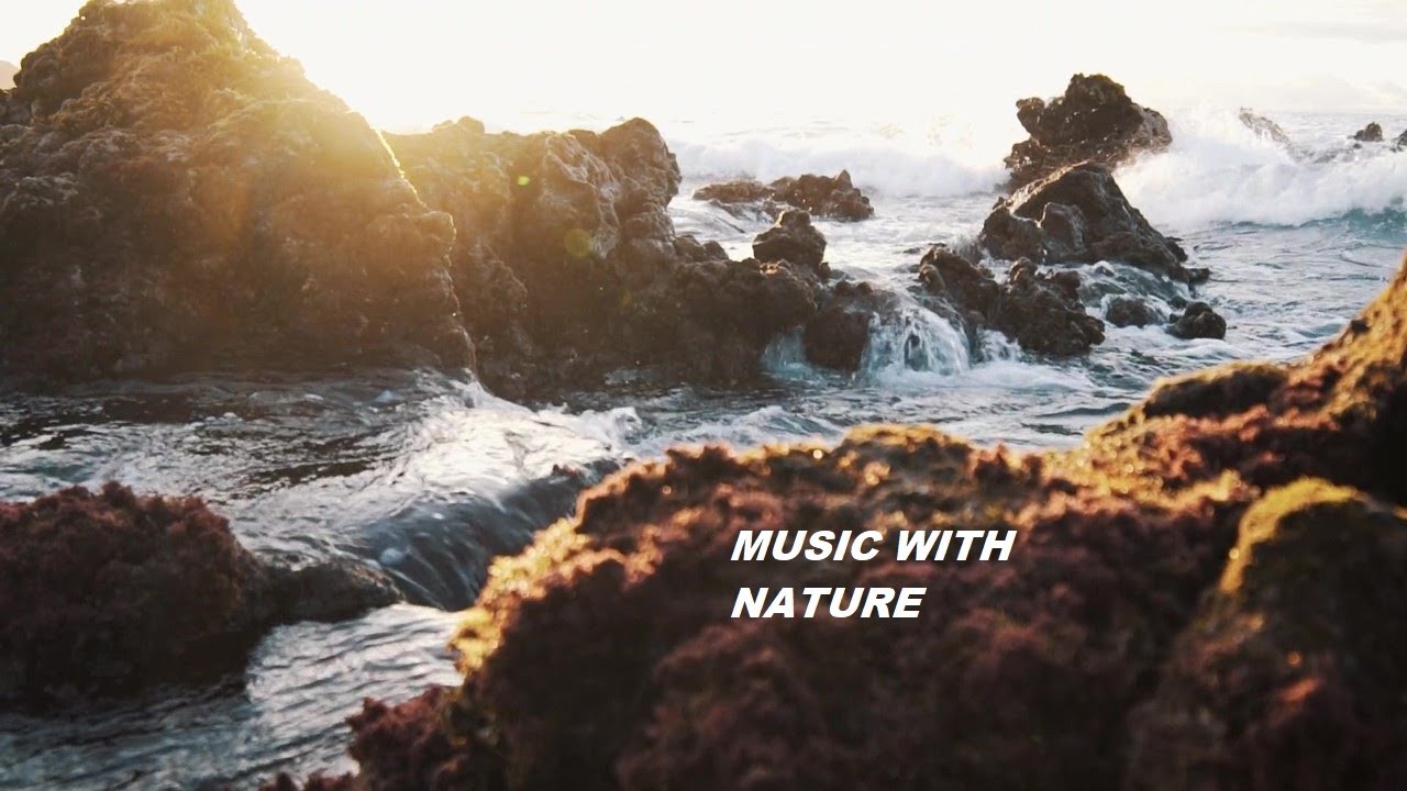 Amazing nature music -BY S.BHARADHWAJ. soothing music that feels like ...