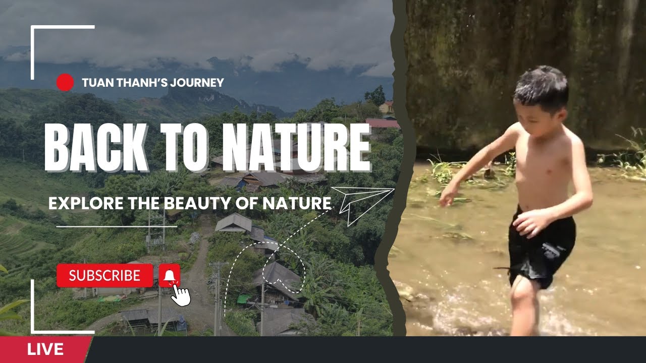 Highland Boy's Sunny Adventure: A Joyful Day by the Stream - YouTube