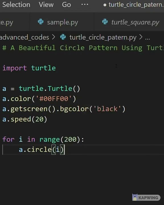 Beautiful Circle Pattern Using Turtle Module In Python Tigercodes Shorts Coding Python