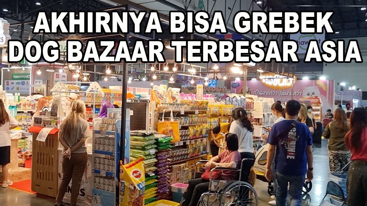 Ini Dog Bazaar TERBESAR Di Asia - Thailand International Dog Show 2023 ...