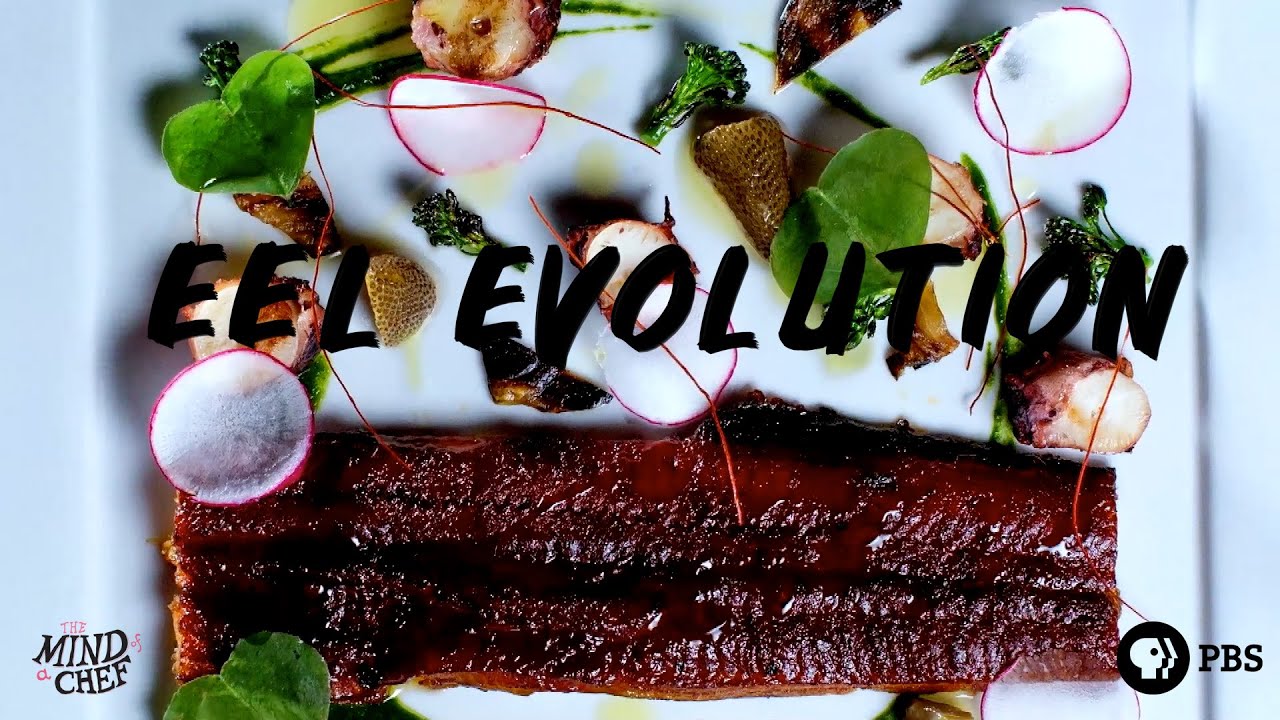 Chef Edward Lee | Eel Evolution - YouTube