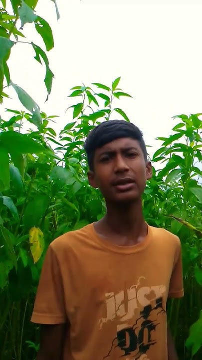 #comedy #comedia #humor #funny #memes #nirmalsaajan #trending #viral #varsha - YouTube