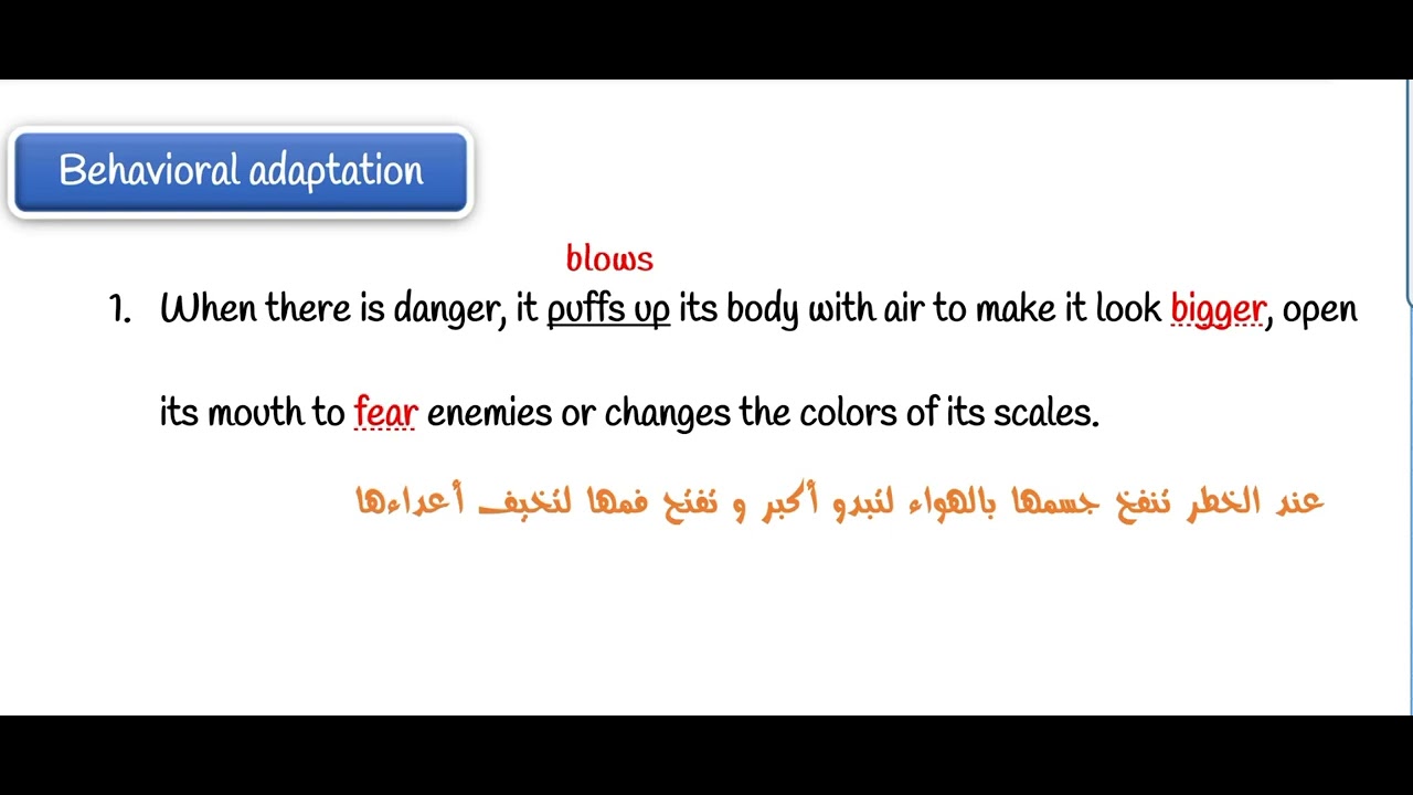 Prim 4 term 1 "Science" lesson 2 part 16 - YouTube
