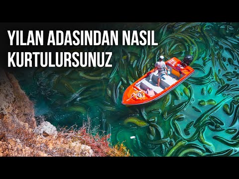 TEHLİKELİ YILAN ADASINA HOŞ GELDİNİZ