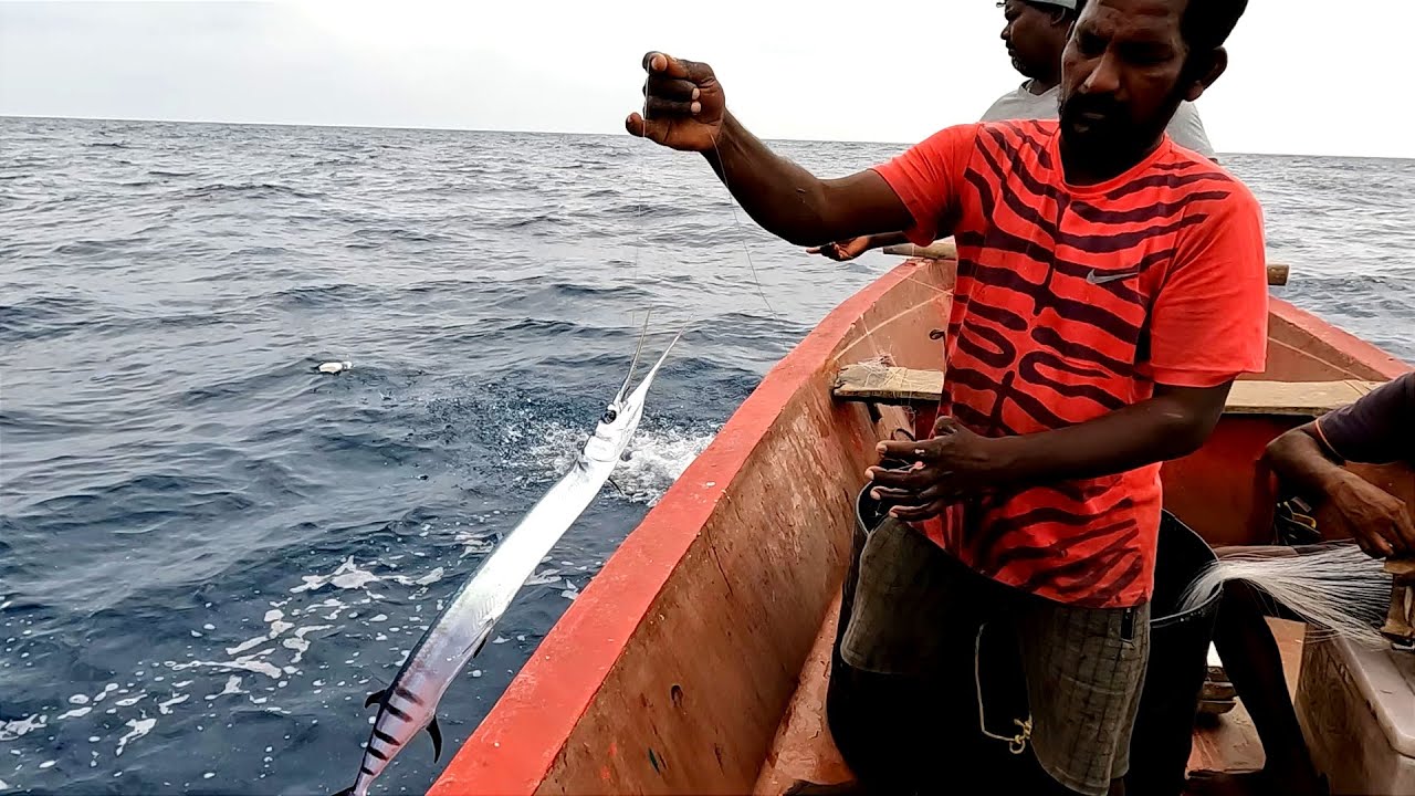 Back to Back Needle Fish Caught in Sea - YouTube