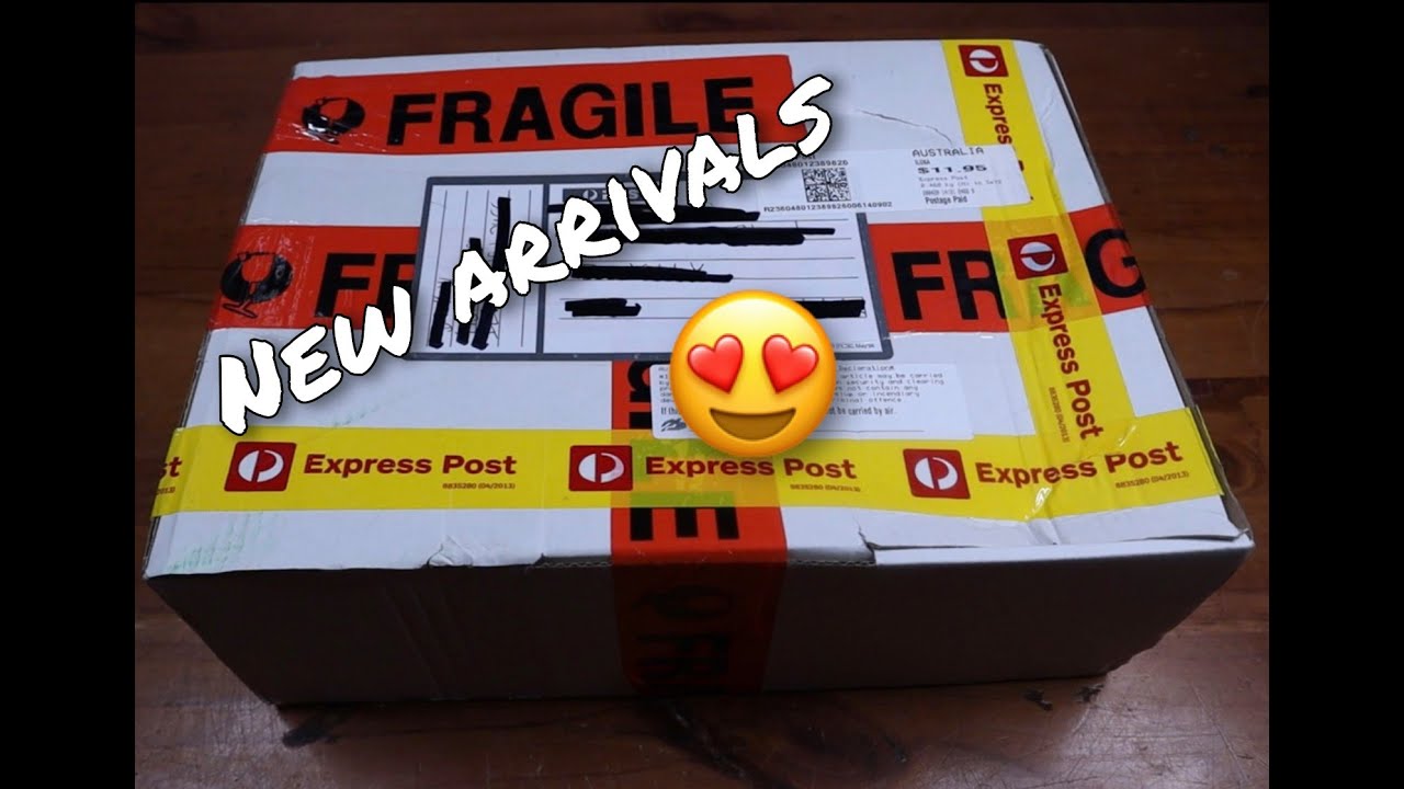 Unboxing Australian old would tarantula spiderlings (Selenotypus Sp ...