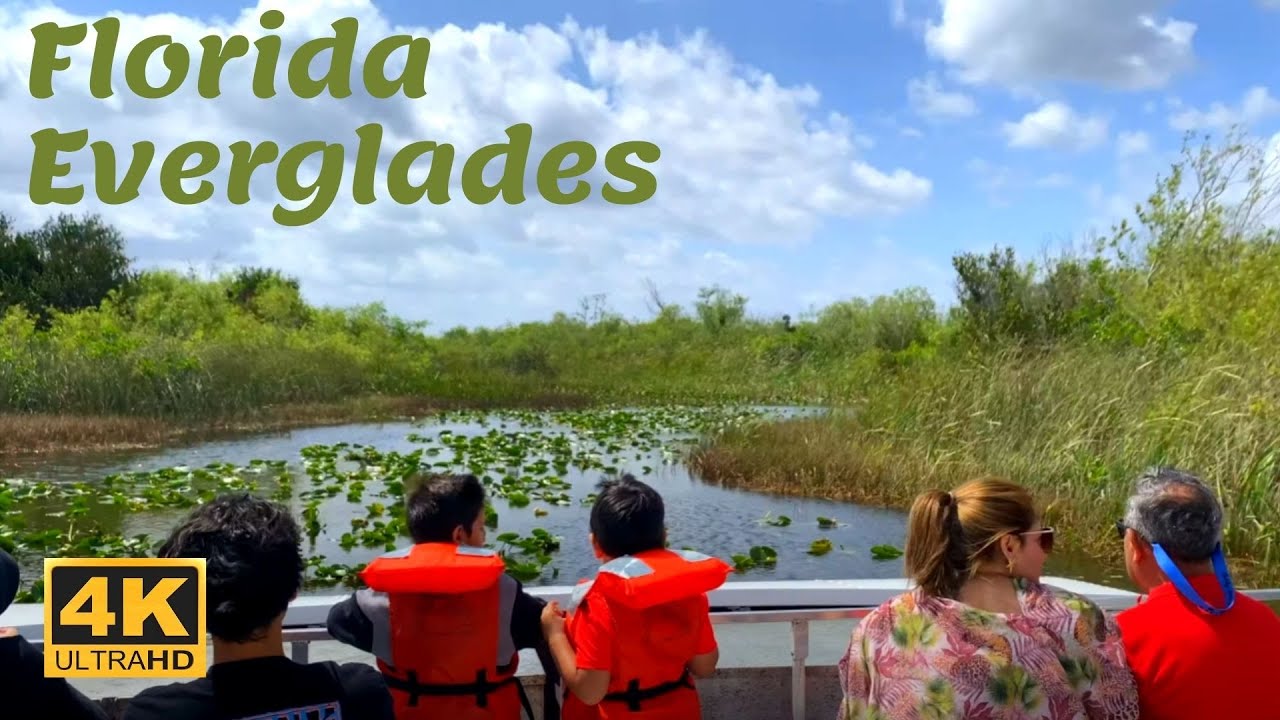 Miami, Florida Everglades - 4K Virtual Boat Tour/Vlog - YouTube