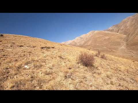 2021 sezon açılışı. net tavşan vuruşu. hunting.-rabbit hunting-clear shot- gopro hero 8