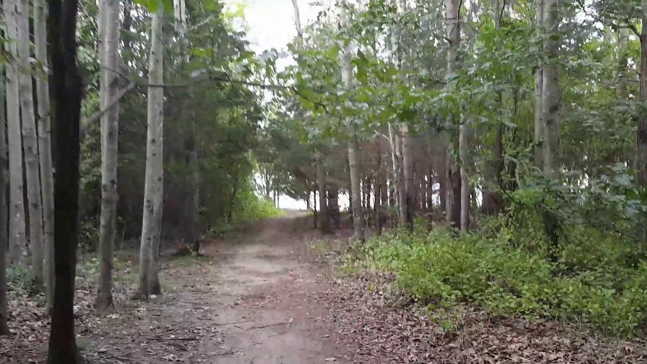 John H Chaffee Nature Preserve-Rome Point, RI/September 10, 2017 - YouTube