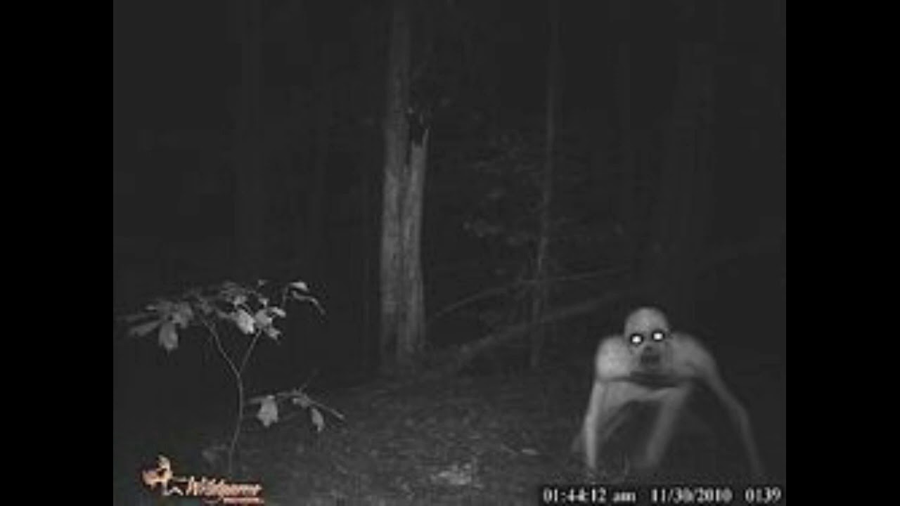 El Rastrillo | Creepypastas - YouTube