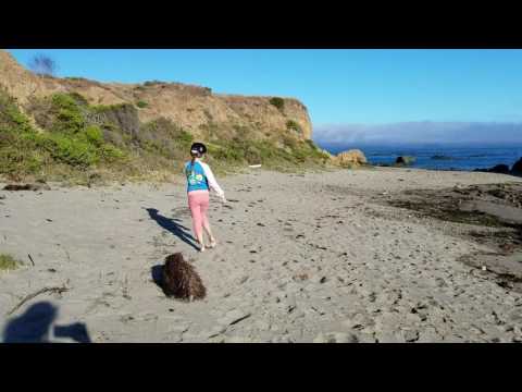 MLP Cadence and Shining Armor go to the Beach (Episode 2)